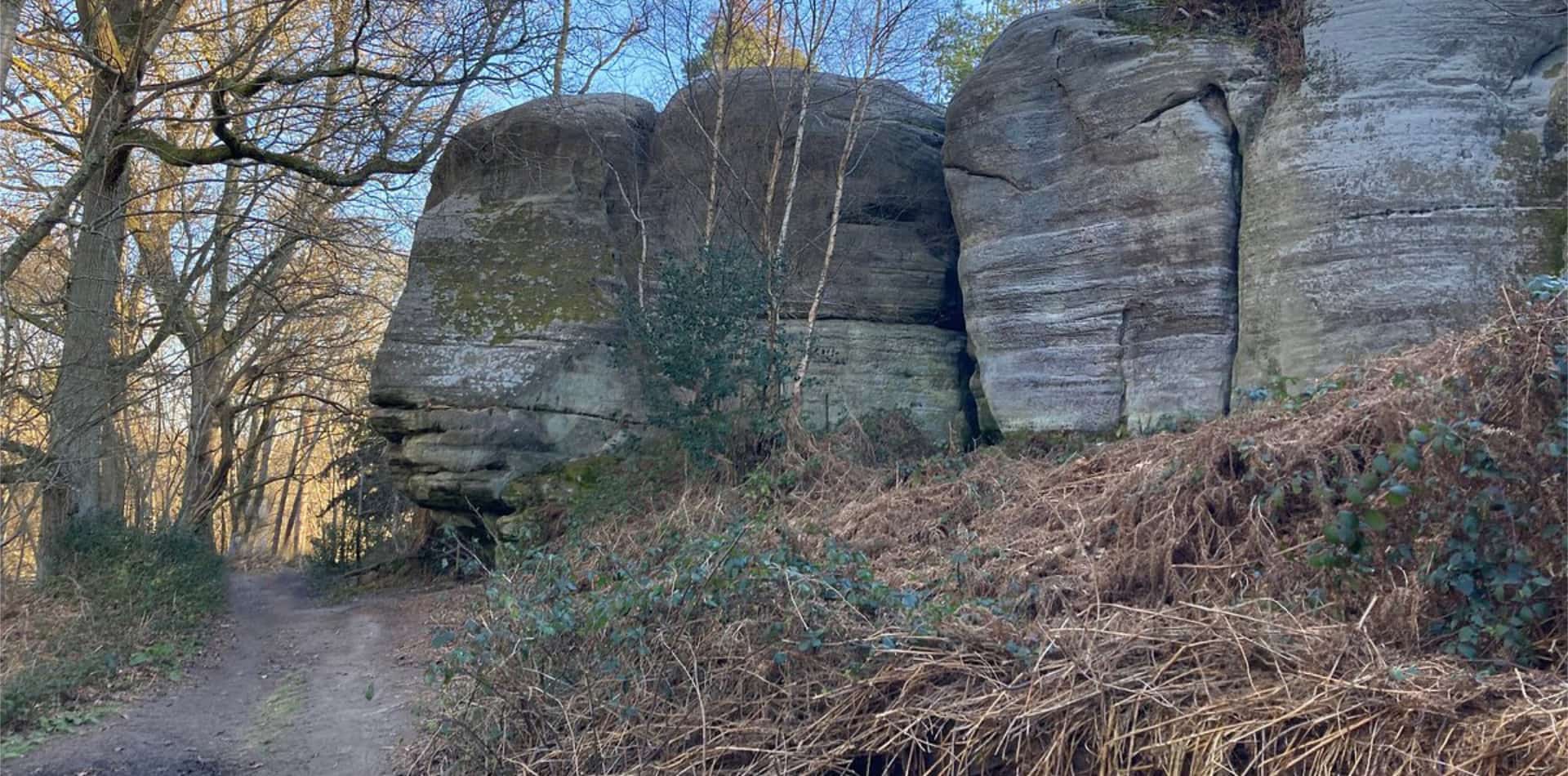 Join Us In September For A Walk In Eridge - World In Need