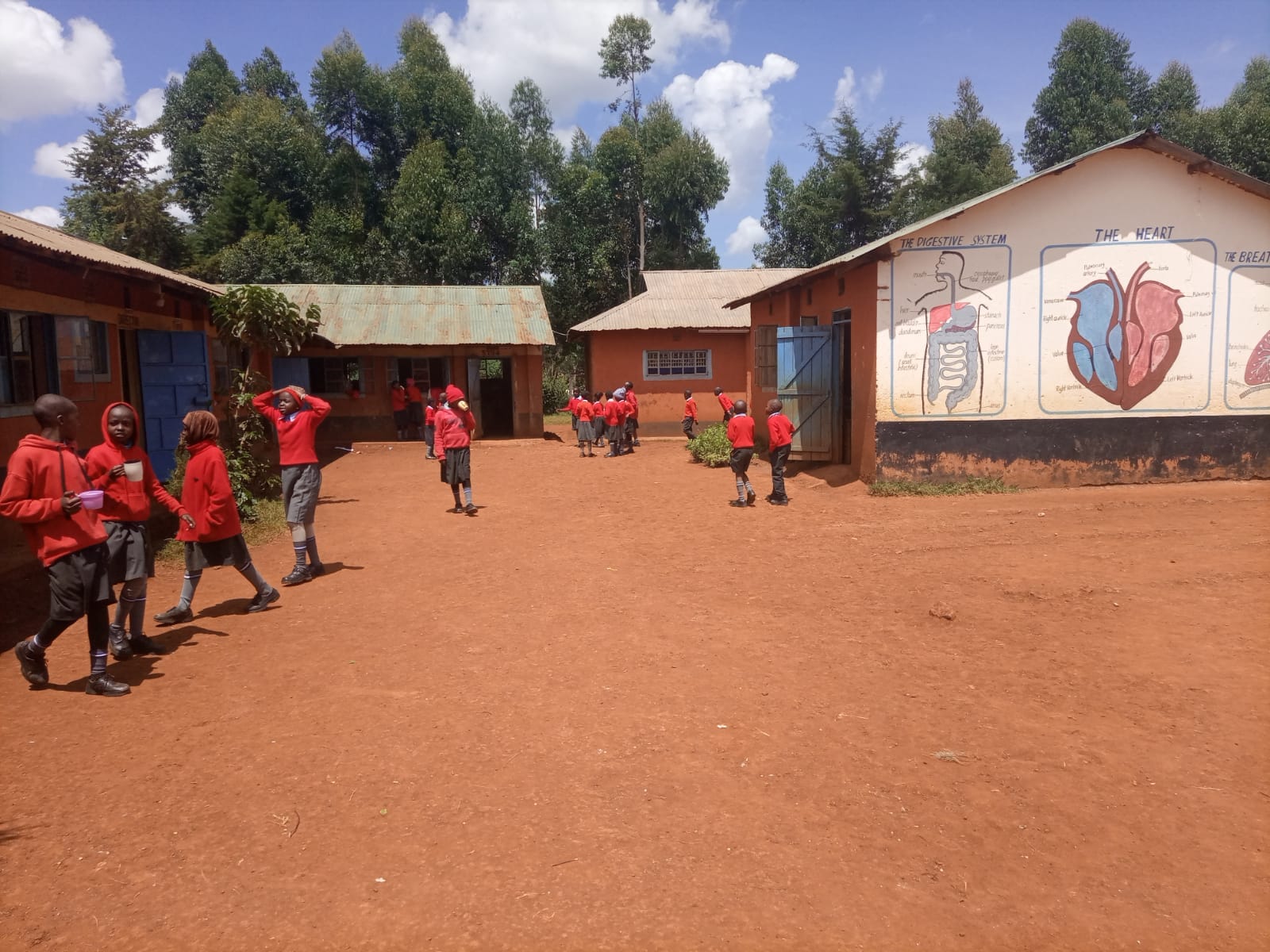 Changes In The Education System Bring Challenges In Kenya - World In Need